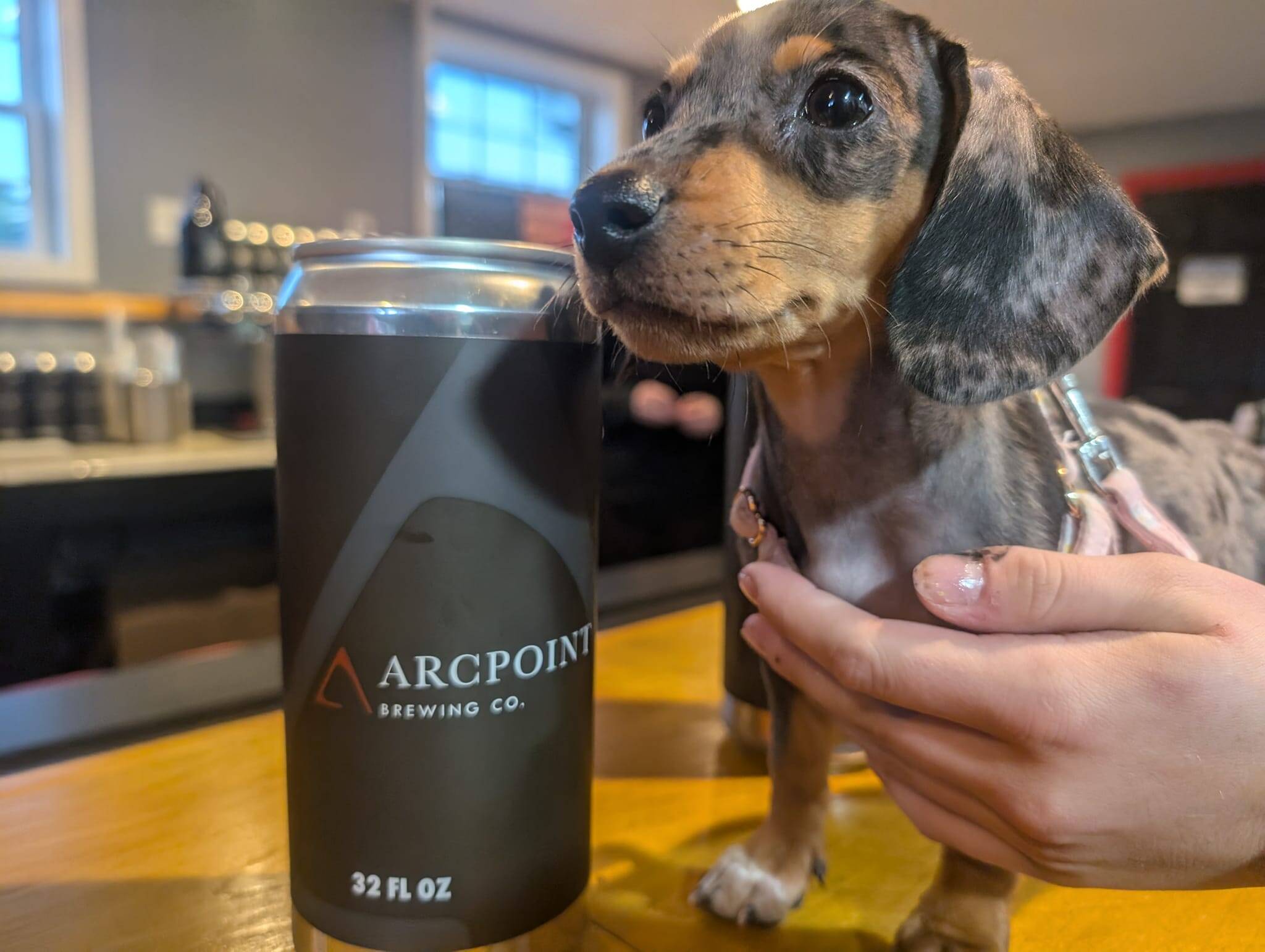 Home | Arcpoint Brewing Company 30 Front st Belchertown MA 01007